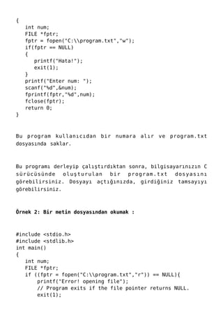 C dosya-isleme | PDF