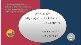Cobb Douglas Production Function | PPTX