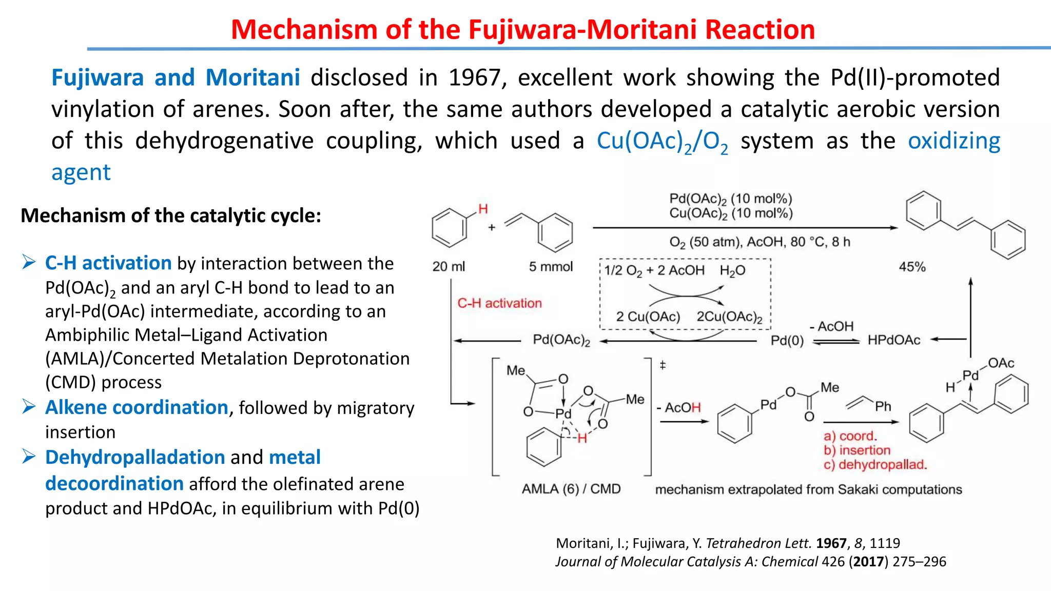 C-H Activation and Functionalization | PPTX