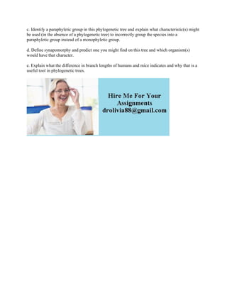 c- Identify a paraphyletic group in this phylogenetic tree and explain ...