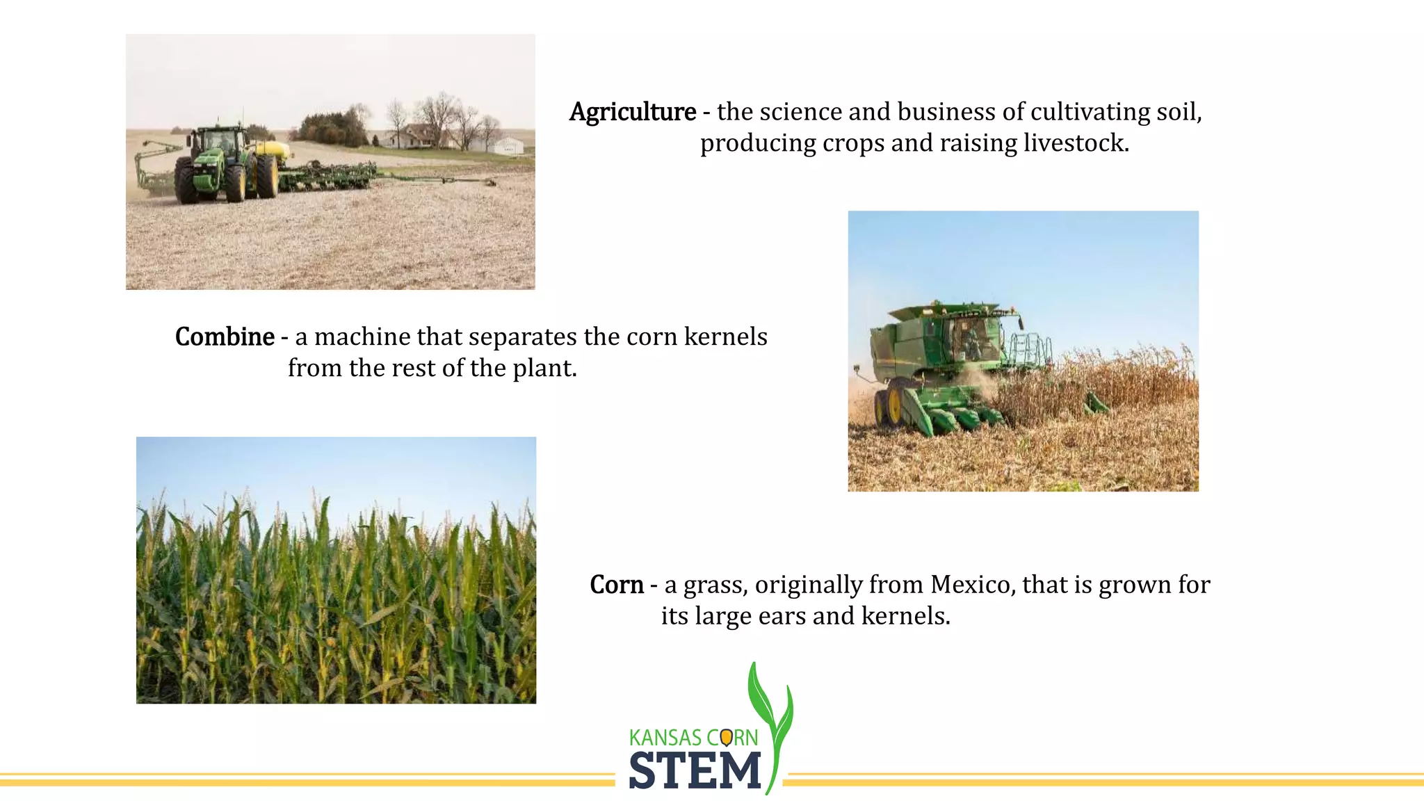 C-is-for-Corn-Powerpoint-web.pptx