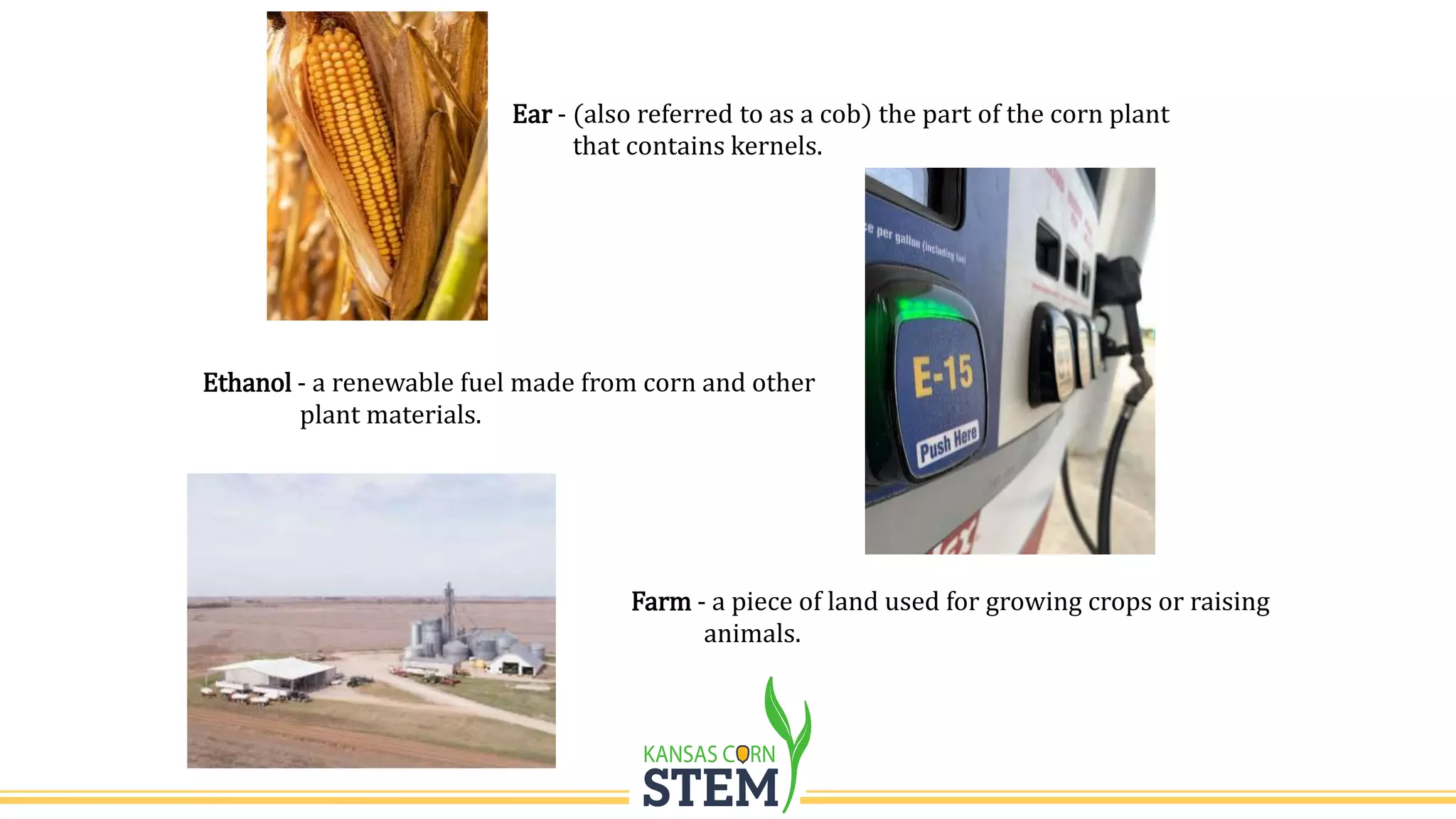 C-is-for-Corn-Powerpoint-web.pptx