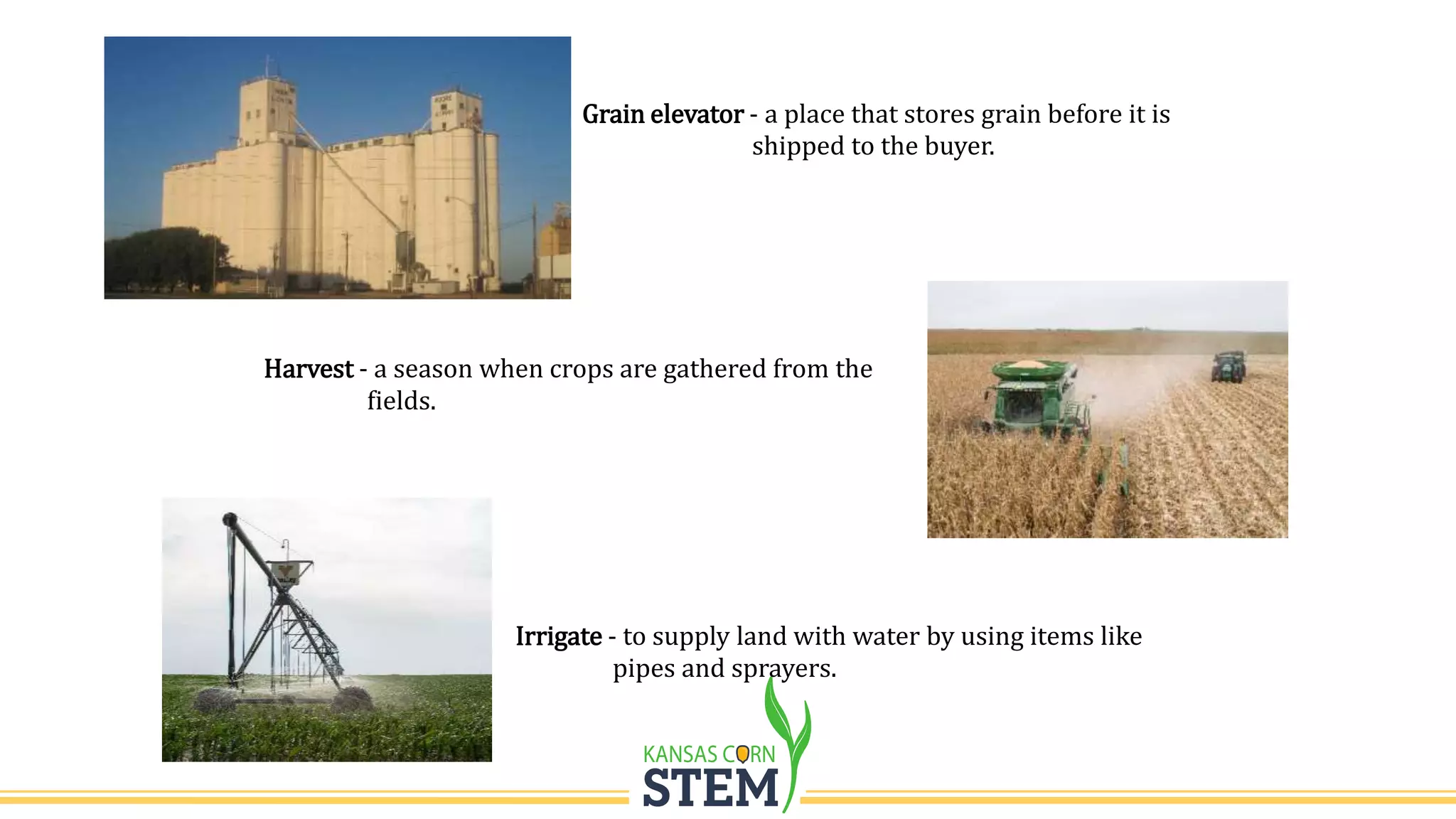 C-is-for-Corn-Powerpoint-web.pptx