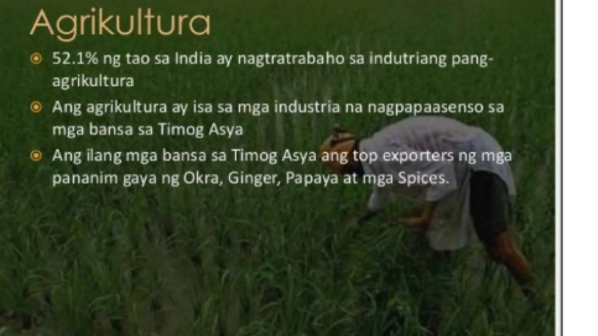 C- katangian ng Timog Asya. Timog Asya.pptx