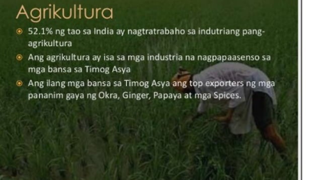 C- katangian ng Timog Asya. Timog Asya.pptx