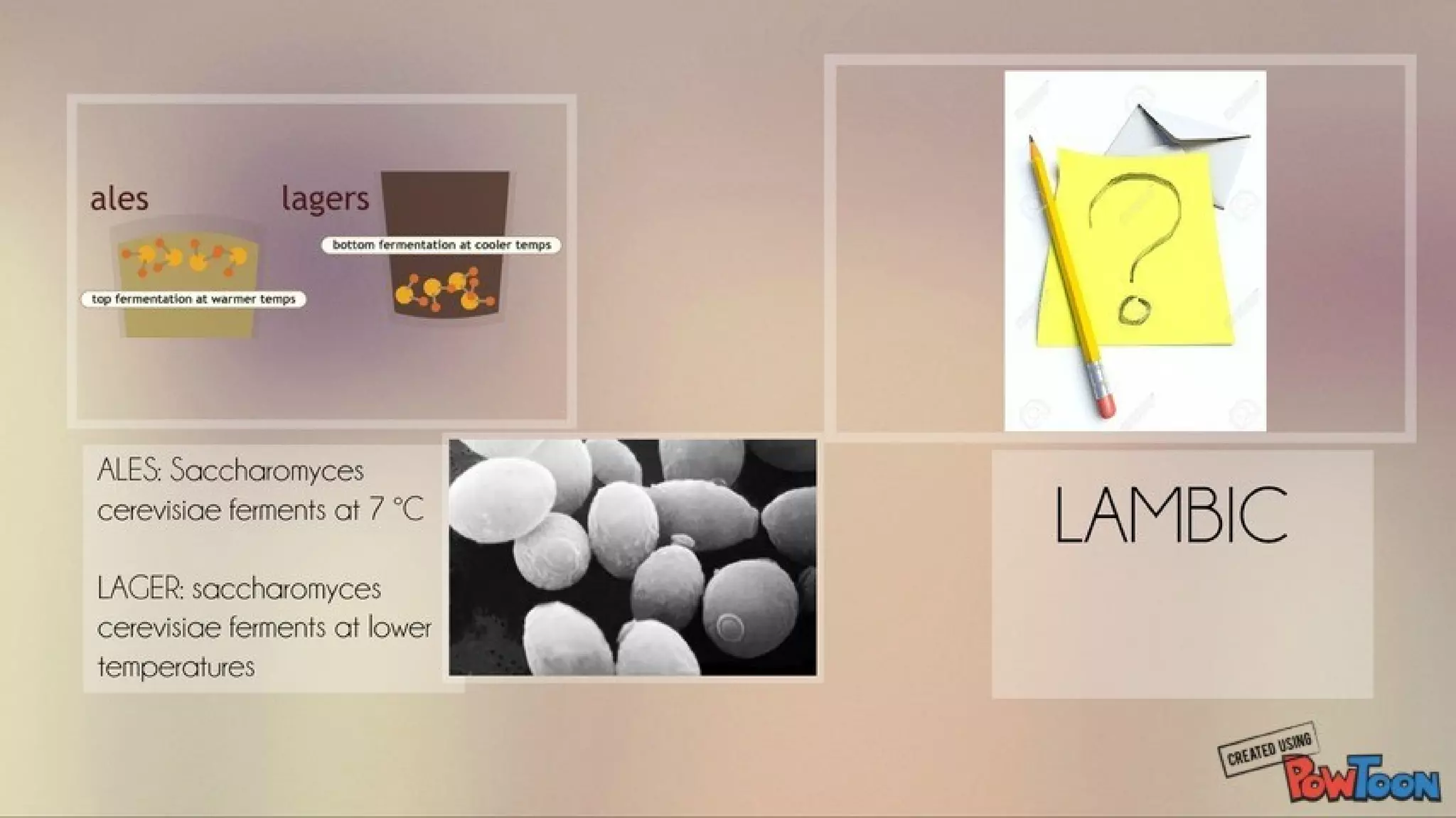 Ets la canya | PPT