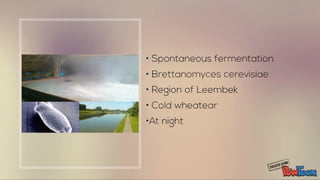 Ets la canya | PPT