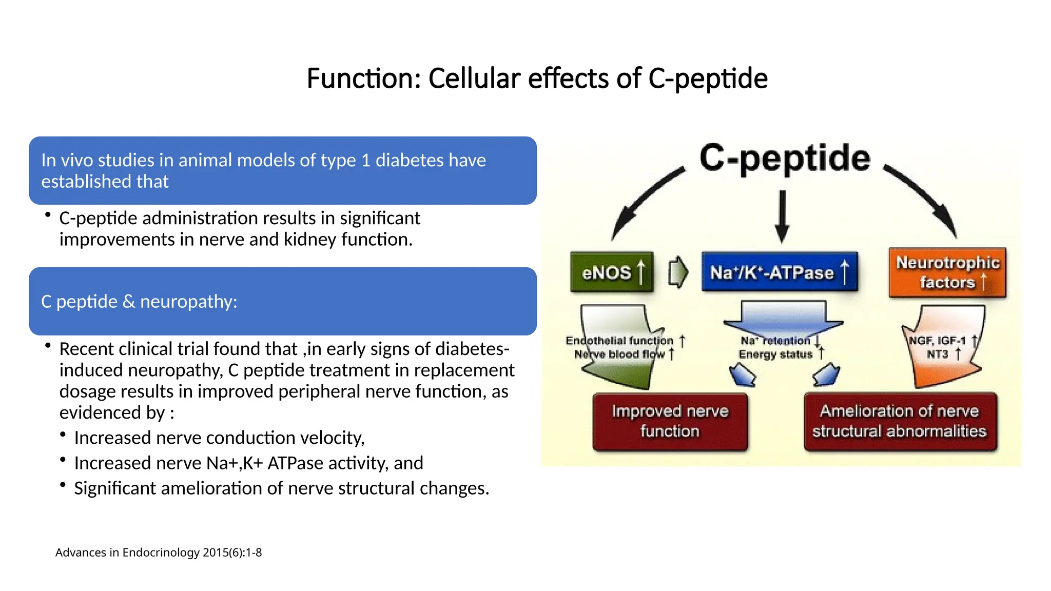 C-peptide.pptx in type 2 diabetes melitus | PPTX