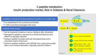C-peptide.pptx in type 2 diabetes melitus | PPTX