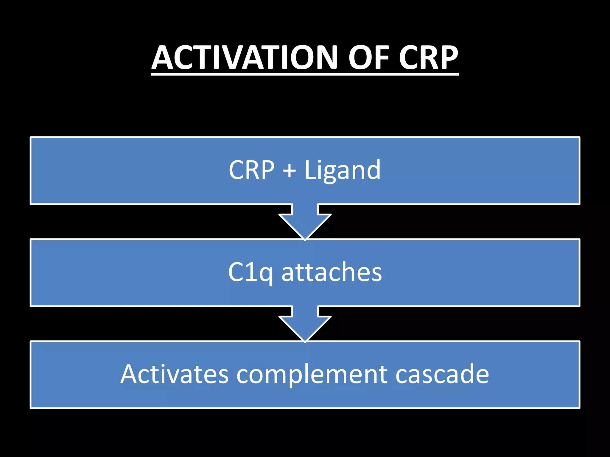 C Reactive Protein Ppt