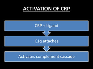 C reactive protein | PPTX