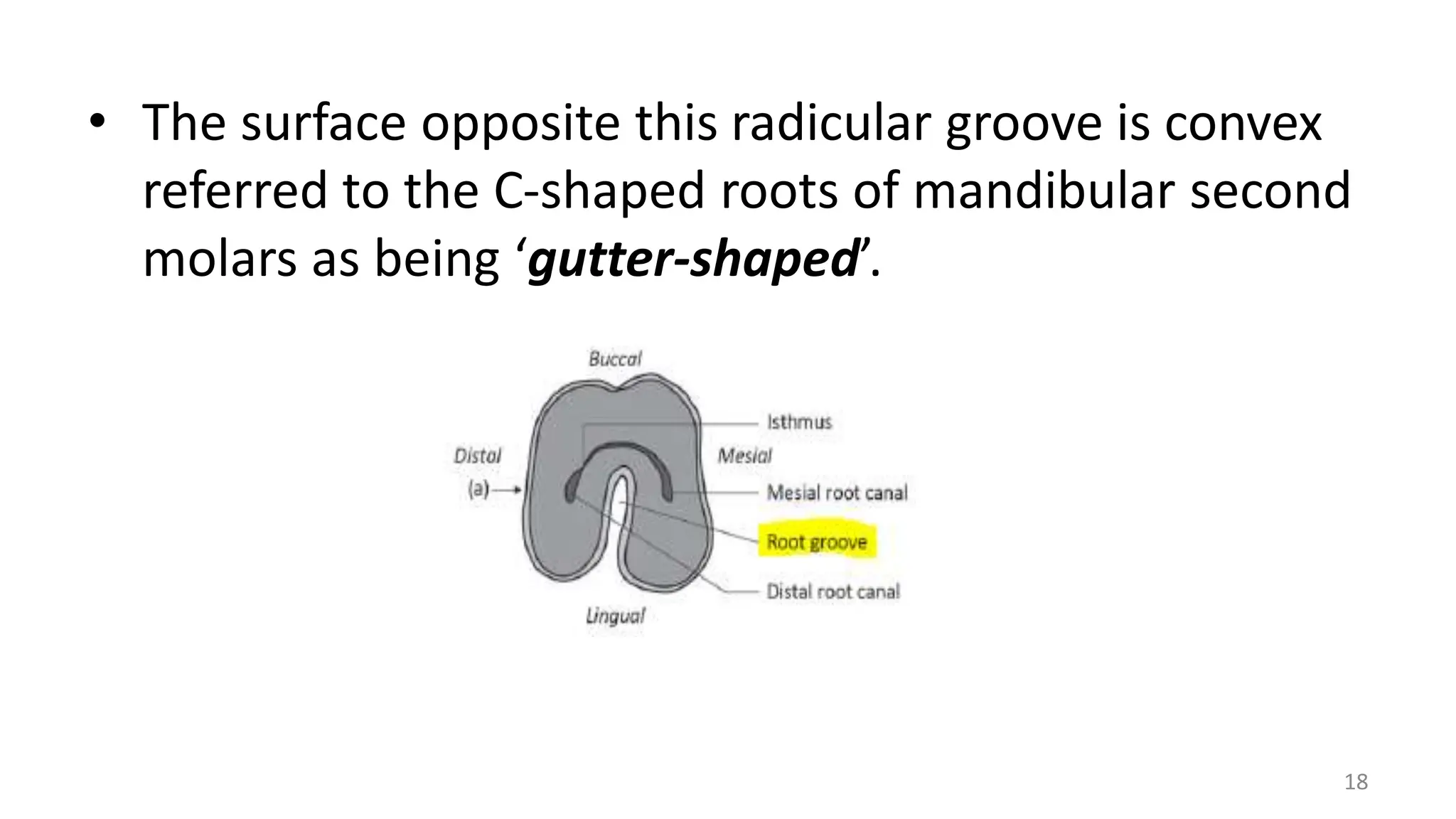 C- SHAPED CANALS pptx by DR. AMAL DEVADAS | PPTX