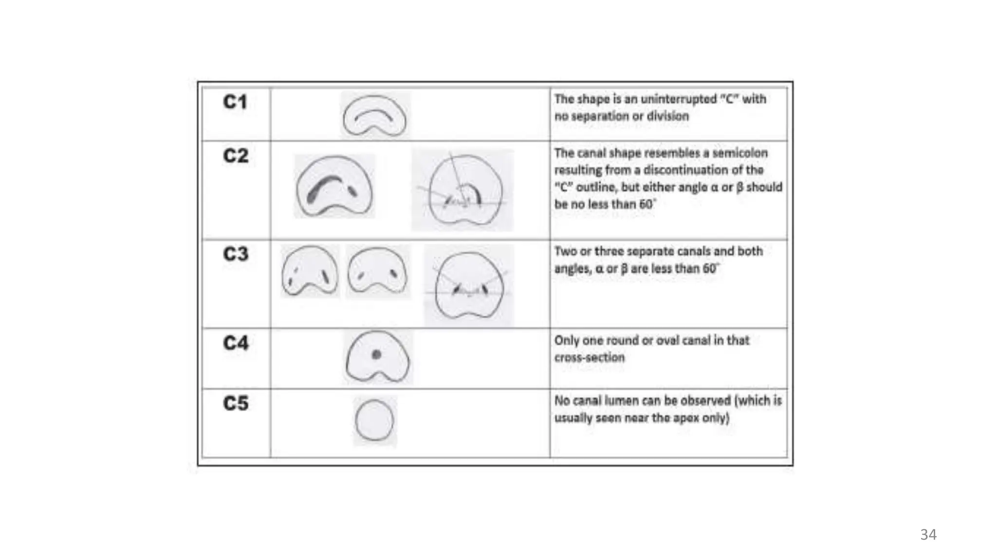 C- SHAPED CANALS pptx by DR. AMAL DEVADAS | PPTX