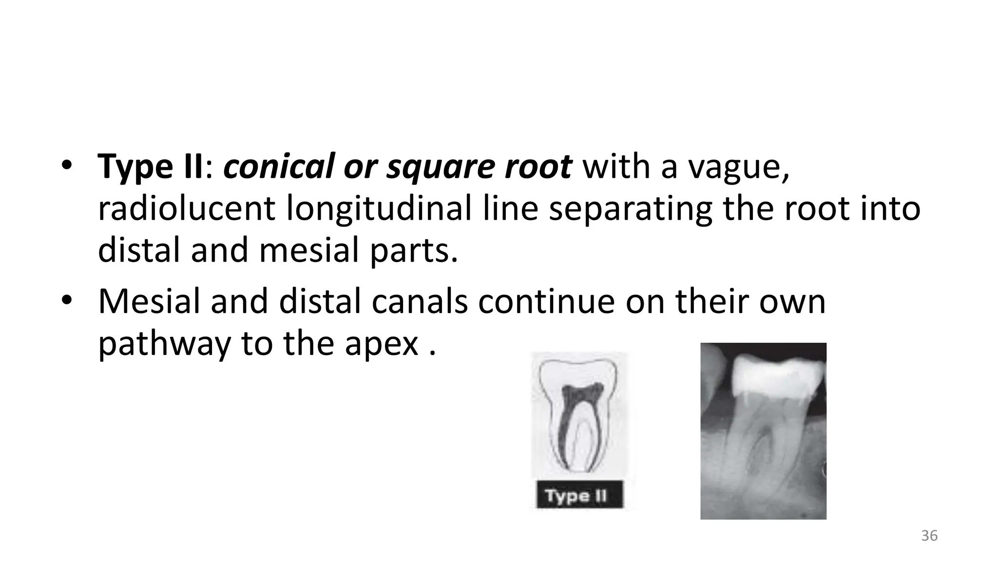 C- SHAPED CANALS pptx by DR. AMAL DEVADAS | PPTX