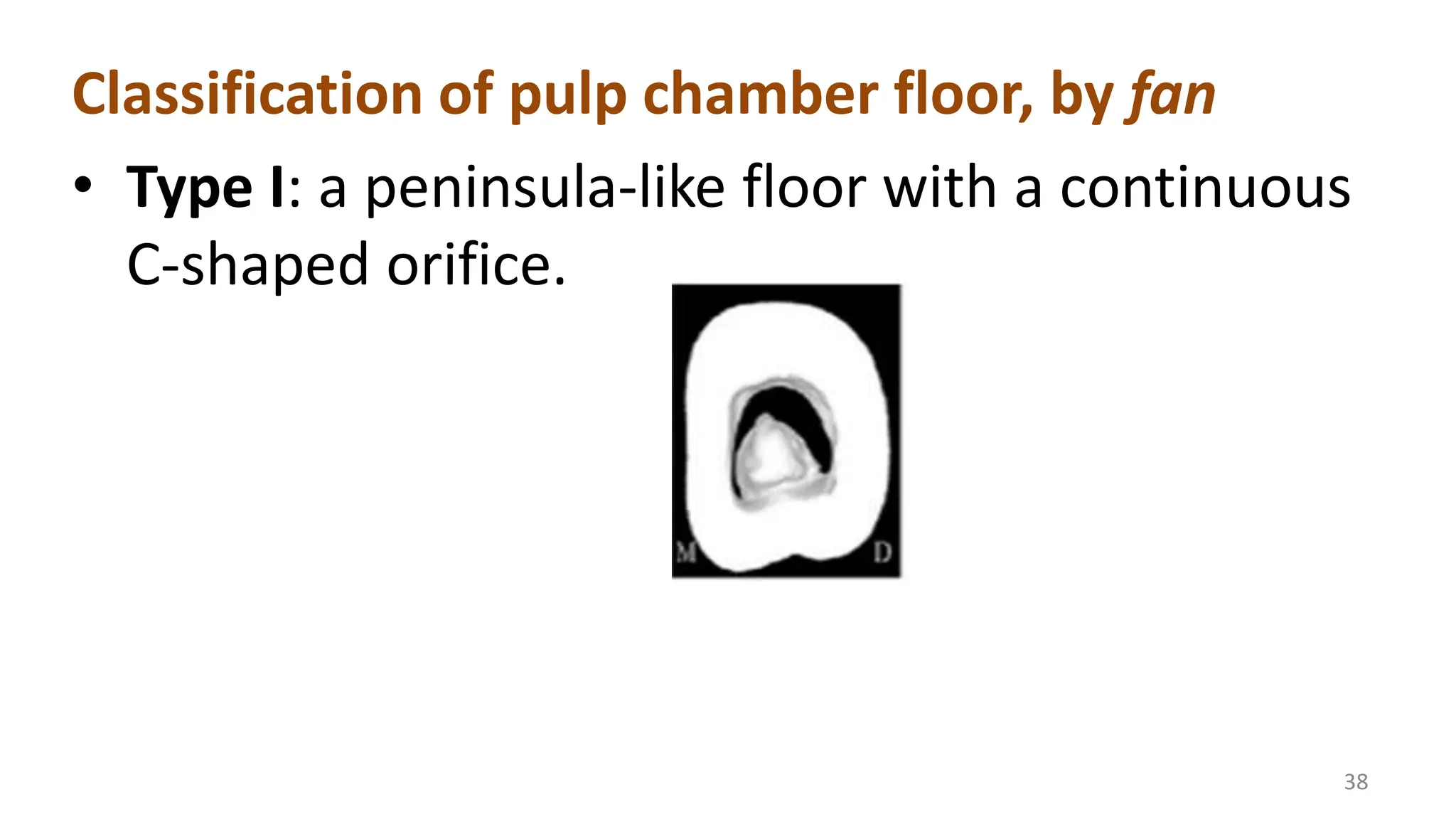 C- SHAPED CANALS pptx by DR. AMAL DEVADAS | PPTX