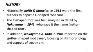 C- SHAPED CANALS pptx by DR. AMAL DEVADAS | PPTX