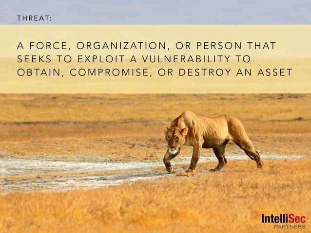 C-Suite Guide to Cybersecurity | PDF