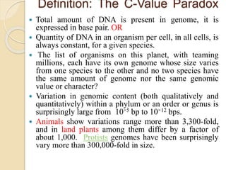 C value paradox | PPTX