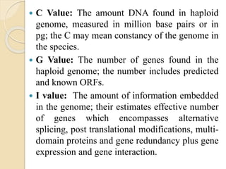 C value paradox | PPTX