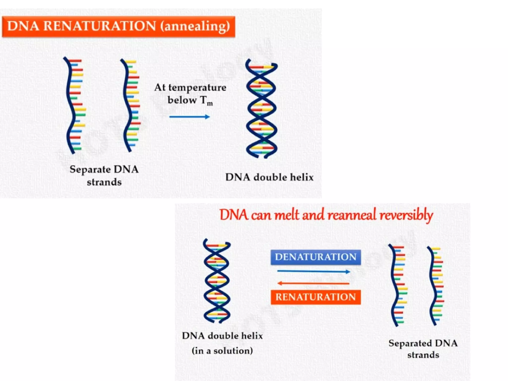 C value paradox unit-ii | PPT