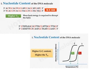 C value paradox unit-ii | PPT