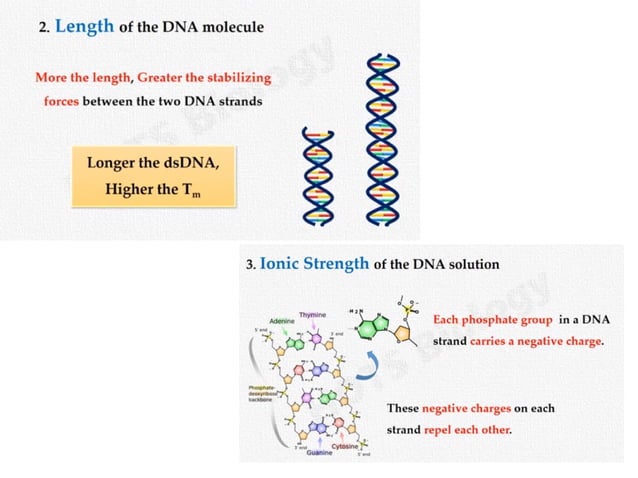 C value paradox unit-ii | PPT