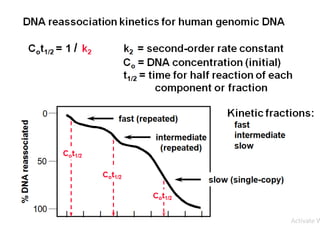 C value paradox unit-ii | PPT