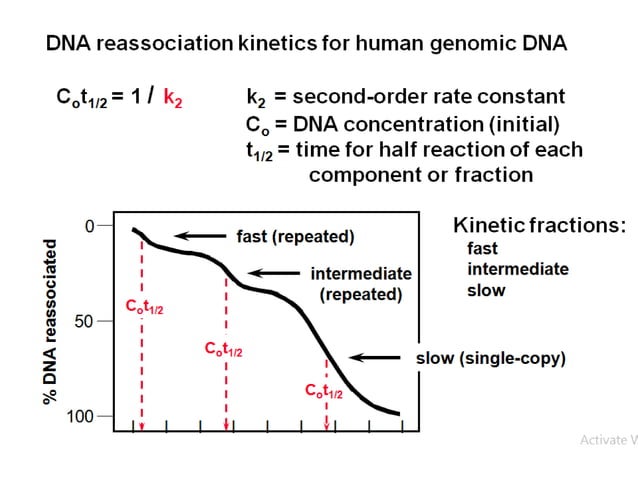 C value paradox unit-ii | PPT