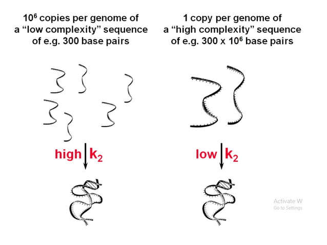 C value paradox unit-ii | PPT