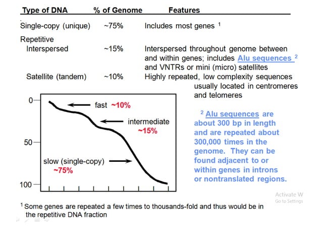 C value paradox unit-ii | PPT