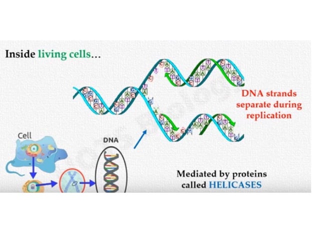 C value paradox unit-ii | PPT