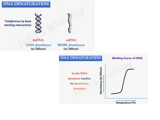 C value paradox unit-ii | PPT