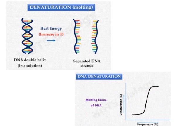 C value paradox unit-ii