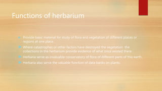 C006_ishan_shah_herberia.pptx
