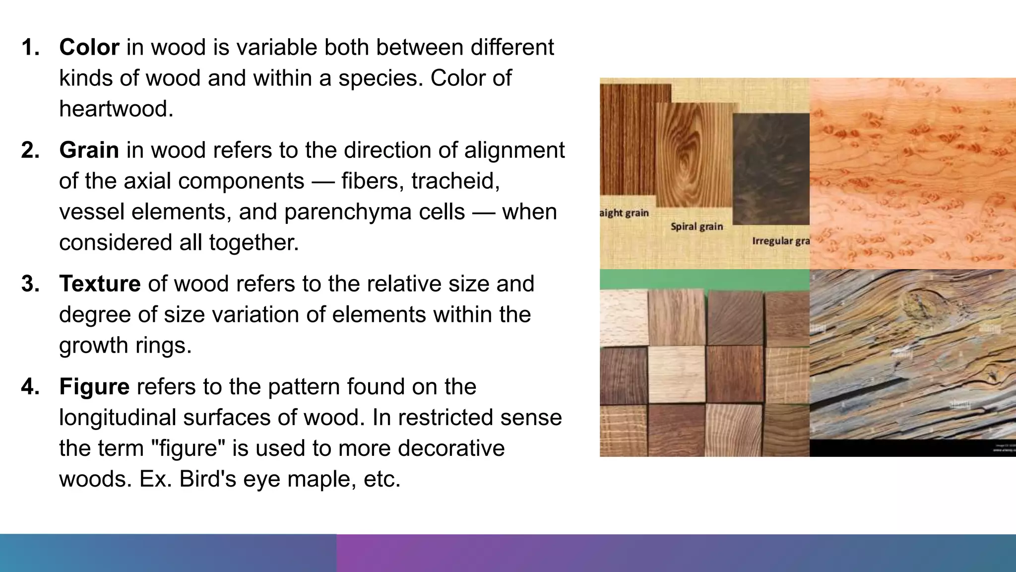 C006_Wood Anatomy.pptx