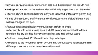 C006_Wood Anatomy.pptx