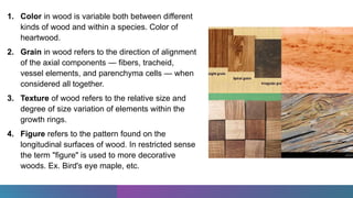 C006_Wood Anatomy.pptx