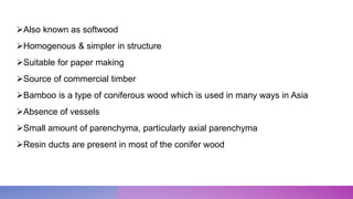 C006_Wood Anatomy.pptx