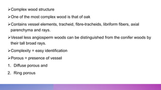 C006_Wood Anatomy.pptx