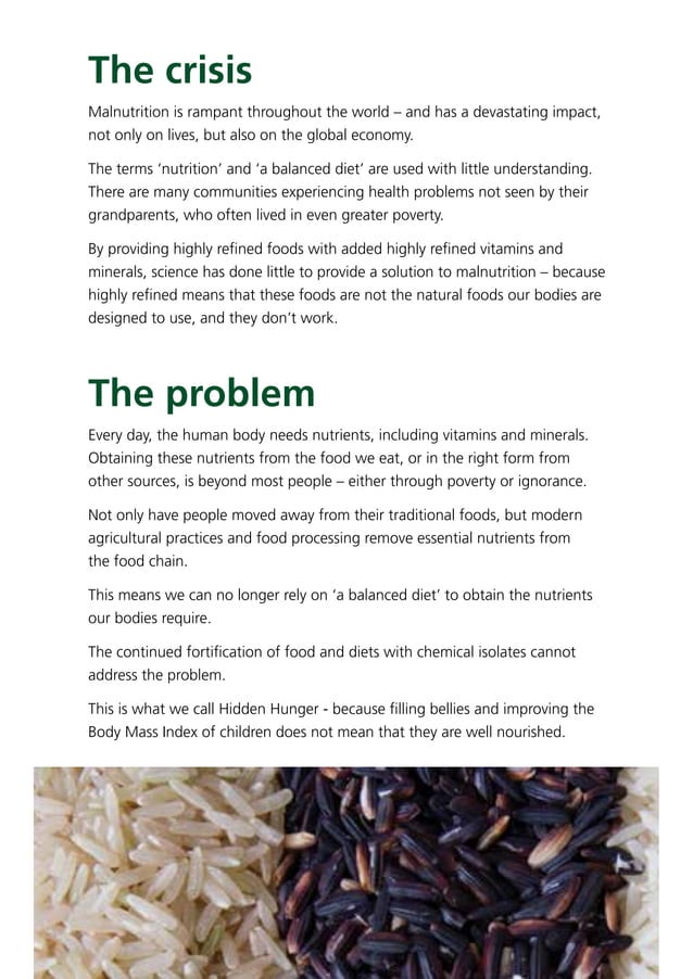 HETN Hidden Hunger Brochure | PDF