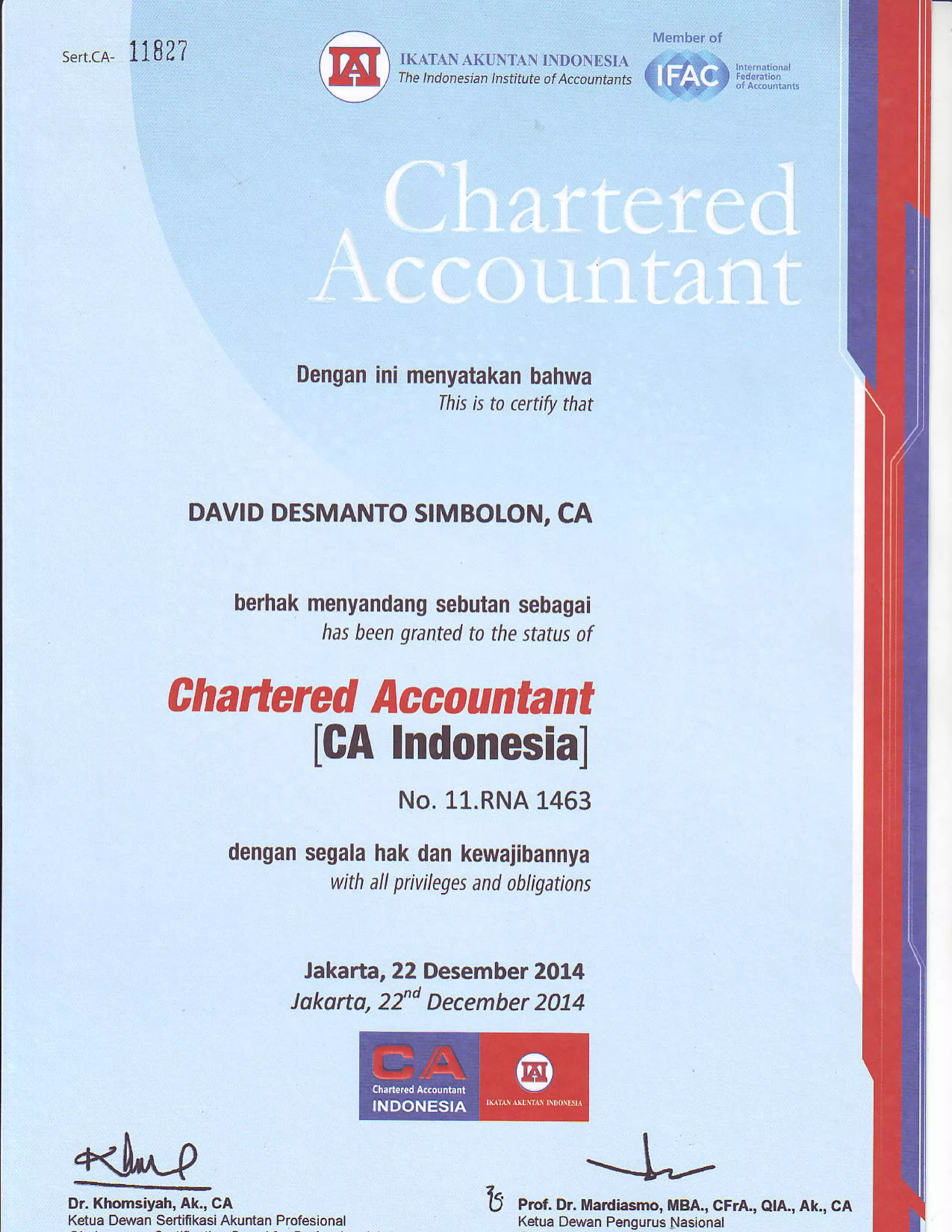 Chartered Accountant.PDF