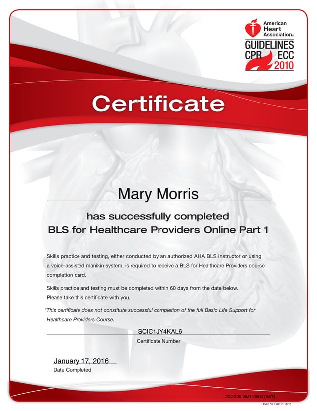 BLS Part 1 | PDF