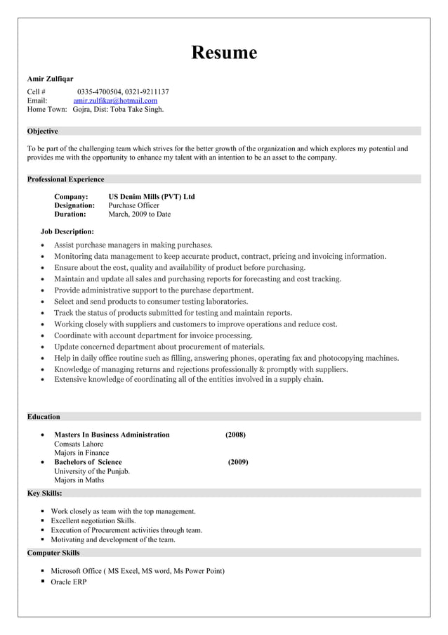 Amir Zulfiqar Resume | PDF