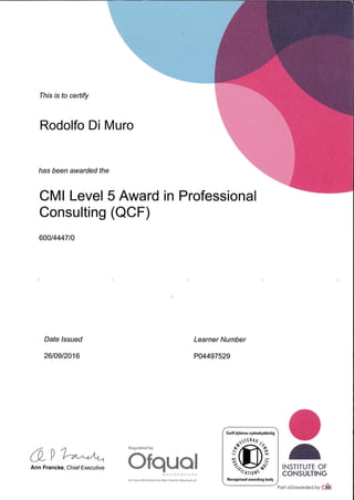 CMI Consult | PDF