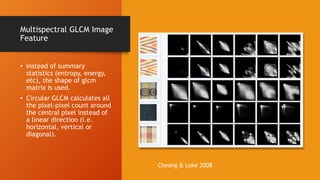 Deep Learning for Textures | PPT