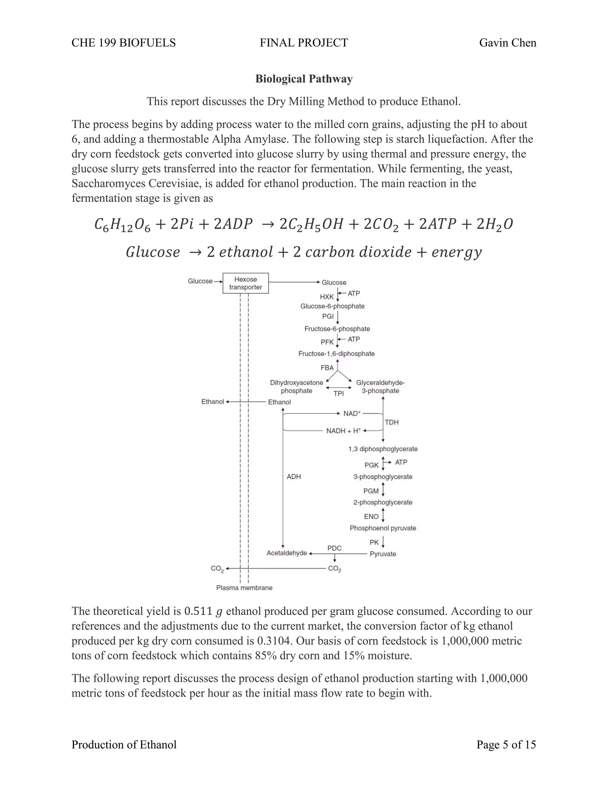 Production of Ethanol by Gavin Chen | PDF
