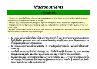 Plant Nutrients2 [Compatibility Mode] 2016 | PPT