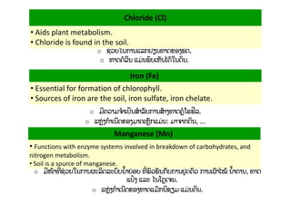 Plant Nutrients2 [Compatibility Mode] 2016 | PPT