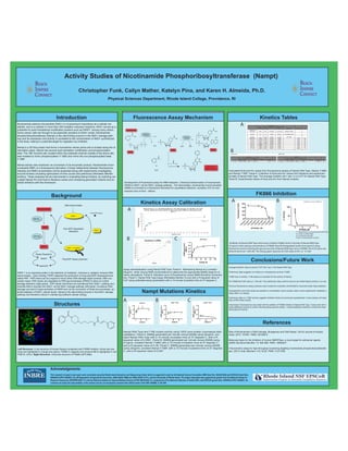 Final Activity Nampt Poster Summer 2012 | PDF
