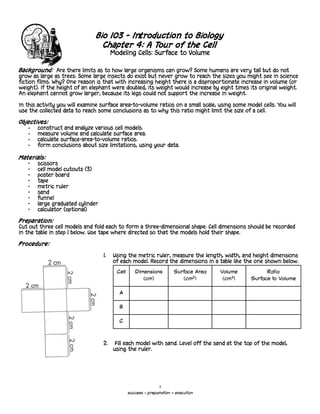 C04 Cell Surface Area | PDF